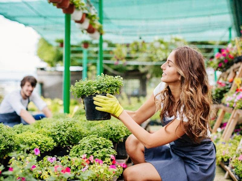 Crédit travaux : l'astuce pour réaliser vos projets de jardin - Wallfin
